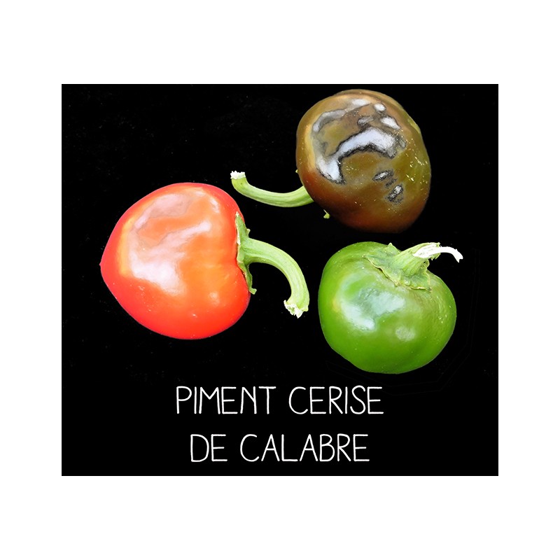 Piment cerise rouge de Calabre
